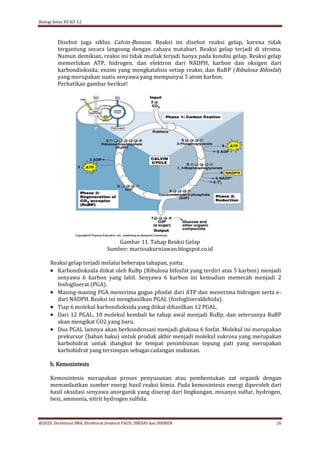 MATERI METABOLISME (KATABOLISME DAN ANABOLISME) PADA MANUSIA.pdf