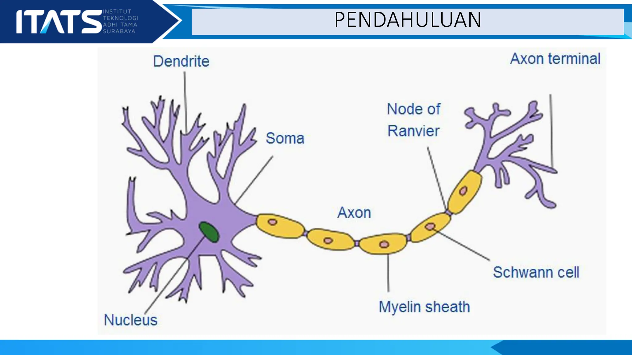 materi mg 2 - Jaringan Saraf Tiruan.pdf