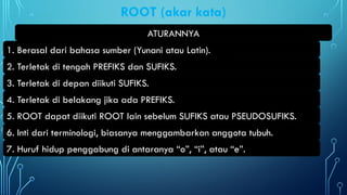 Konsep Dasar Struktur Terminologi Kesehatan | PPT