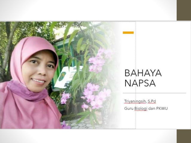 BAHAYA NAPSA | PPT