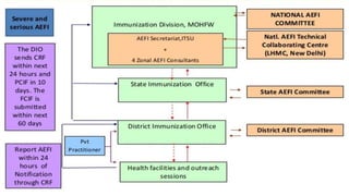 Materiovigilance and AEFI ppt | PPTX