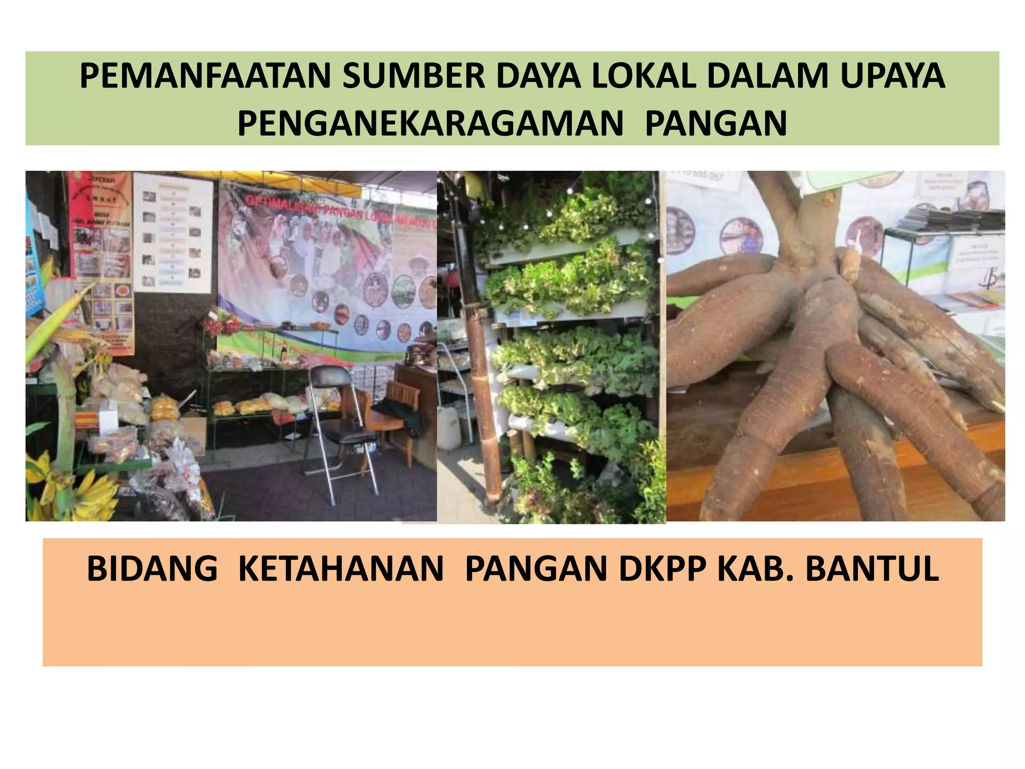 MATERI PANGAN LOKAL.ppt