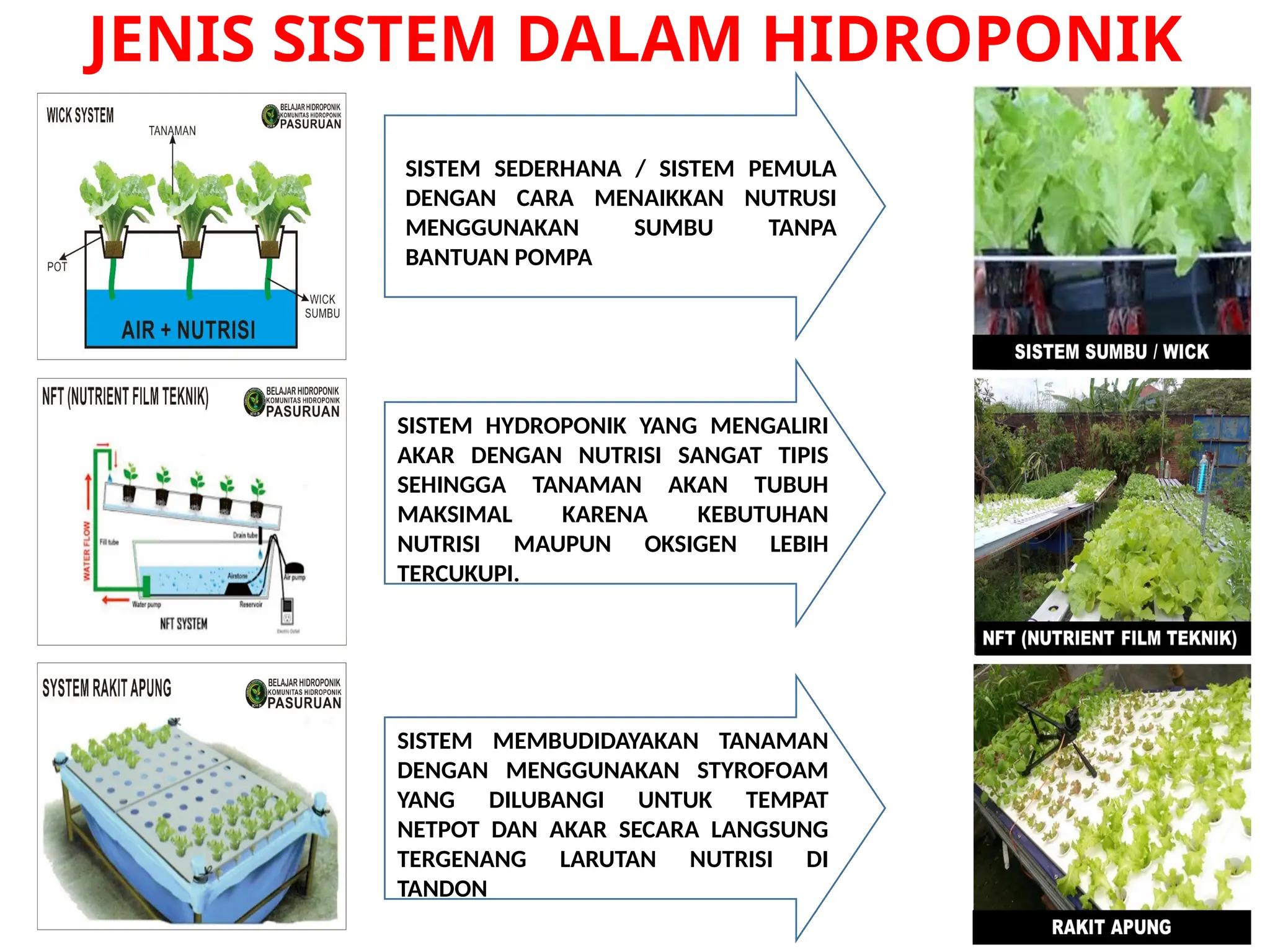 Materi Pelatihan Dasar Hidroponik 2019.pptx
