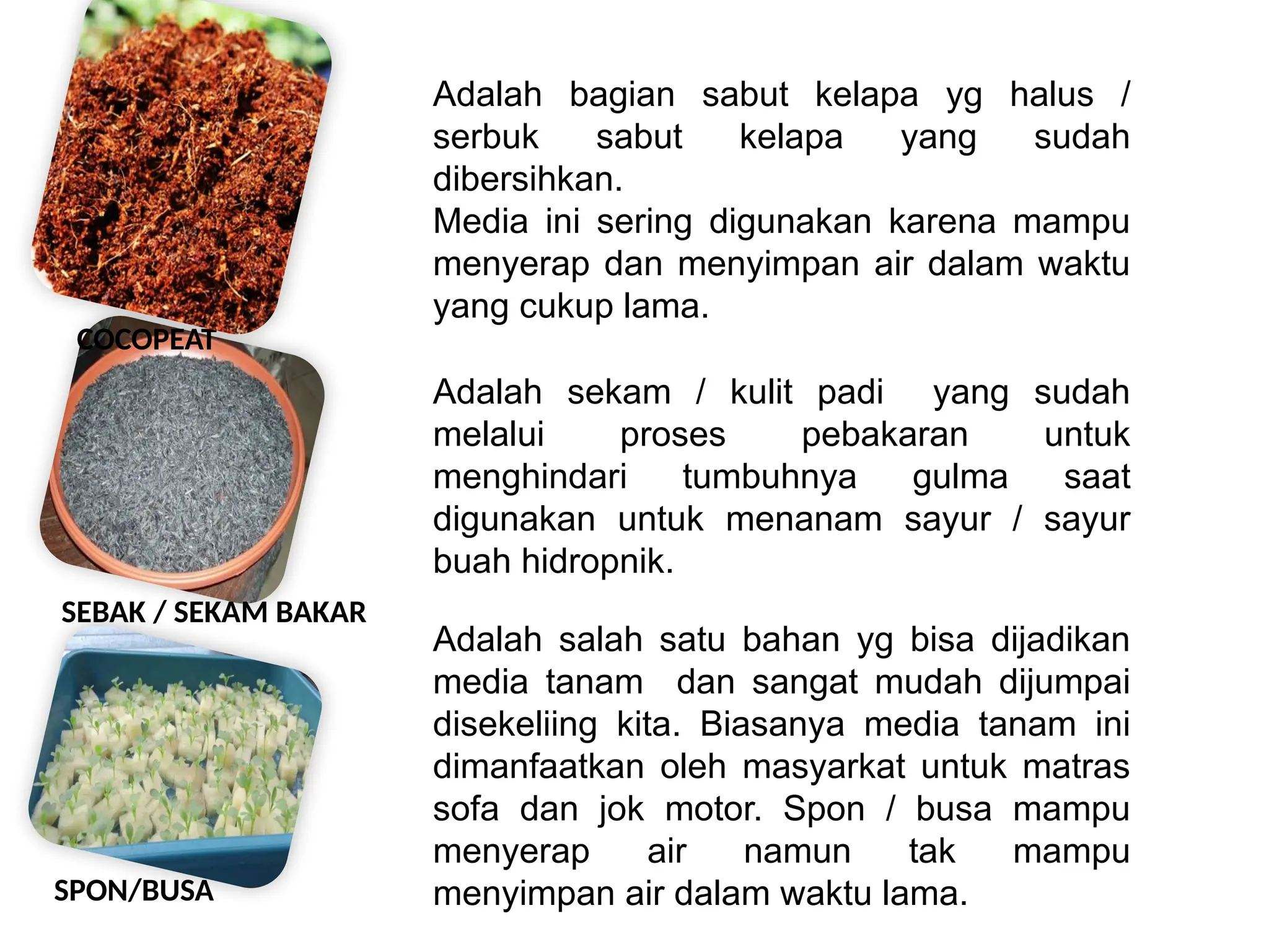 Materi Pelatihan Dasar Hidroponik 2019.pptx