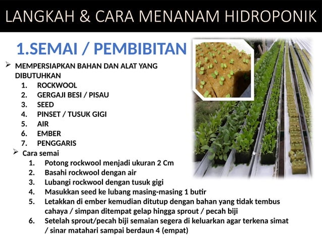 Materi Pelatihan Dasar Hidroponik 2019.pptx