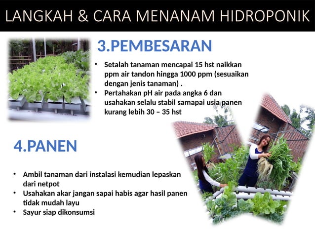 Materi Pelatihan Dasar Hidroponik 2019.pptx