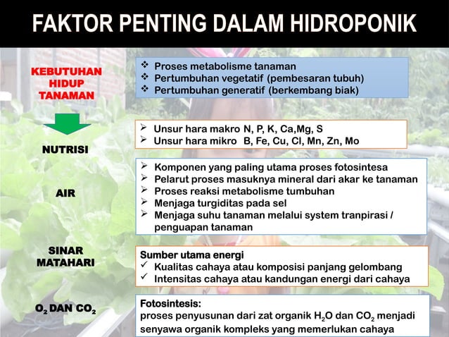 Materi Pelatihan Dasar Hidroponik 2019.pptx