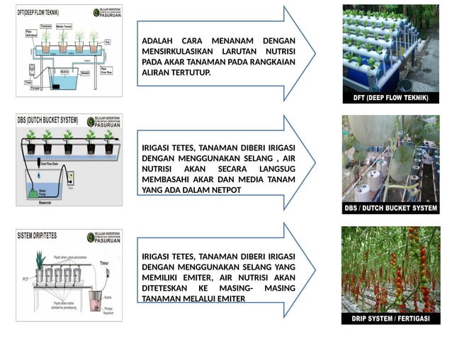 Materi Pelatihan Dasar Hidroponik 2019.pptx