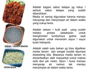 Materi Pelatihan Dasar Hidroponik 2019.pptx