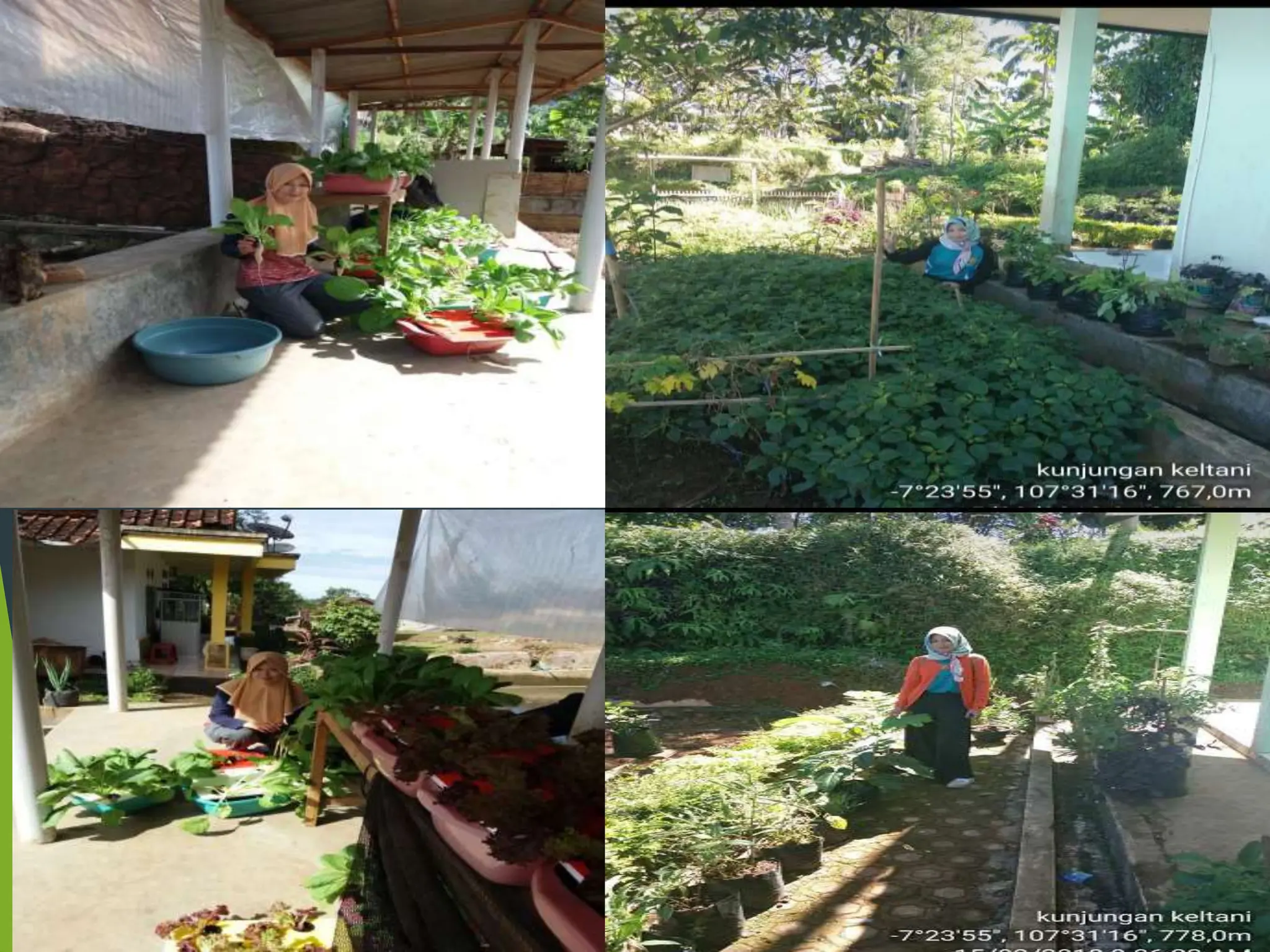 MATERI PEMANFAATAN LAHAN PEKARANGAN TIKA M.ppt