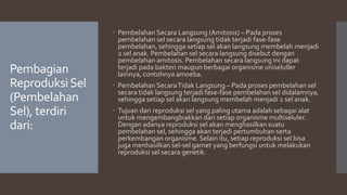 MATERI PEMBELAHAN SEL BAB 4 KELAS 12 MARIYAH MITTAQUL JANNAH.pptx