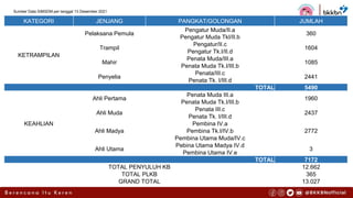 Materi Penataan Penyuluh Keluarga Berencana_FINAL.pdf