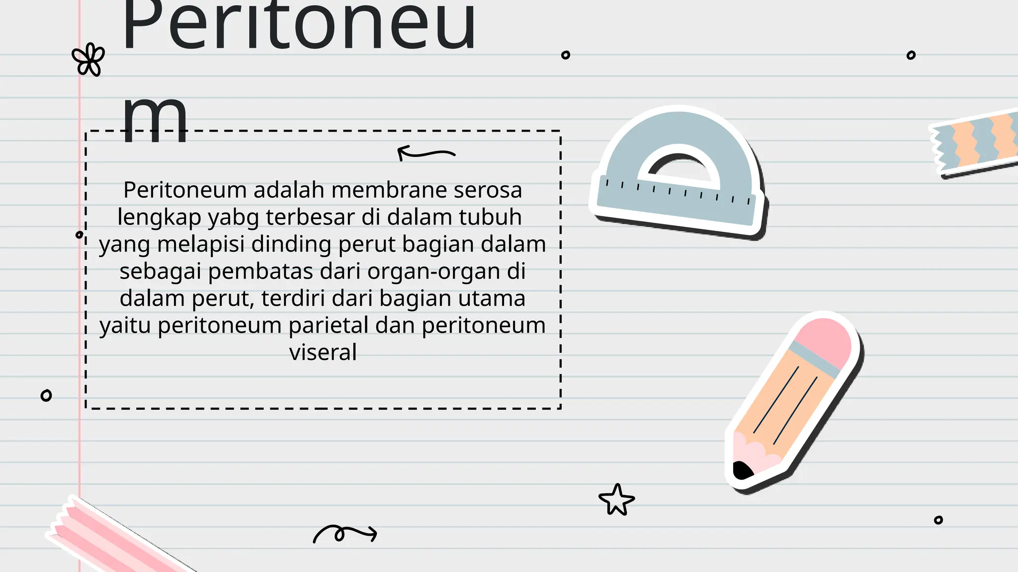 Materi pencernaan (anatomi dan fisiologi)pptx | PPTX
