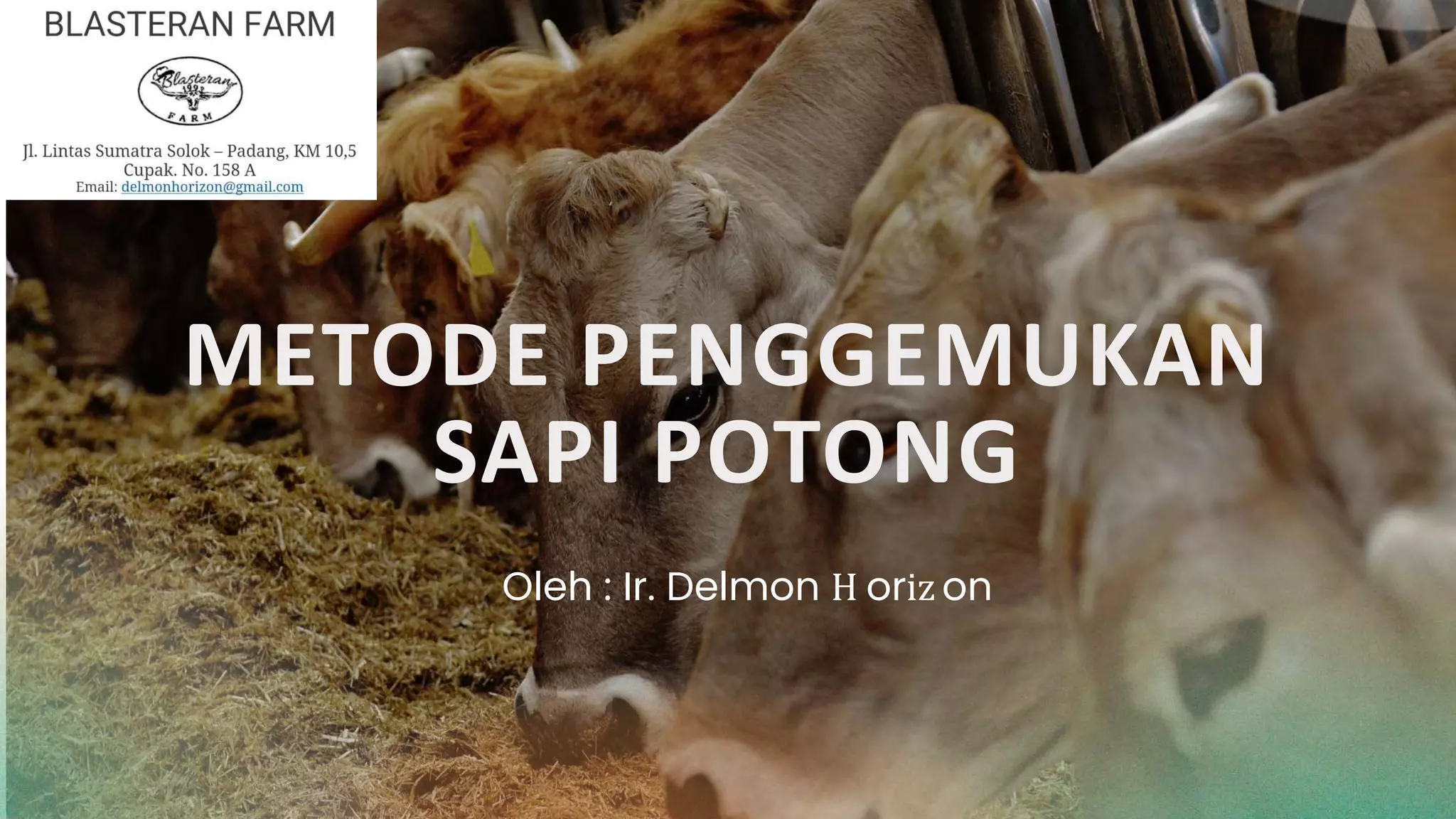materi_penggemukan_sapi[1].pptx