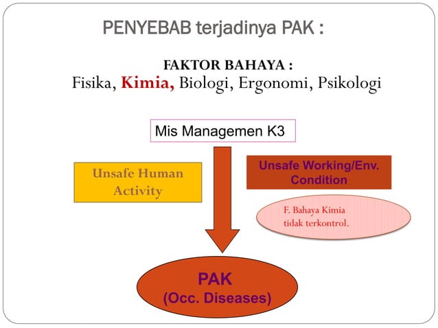 Materi _ Penyakit Akibat Kerja (PAK).pdf