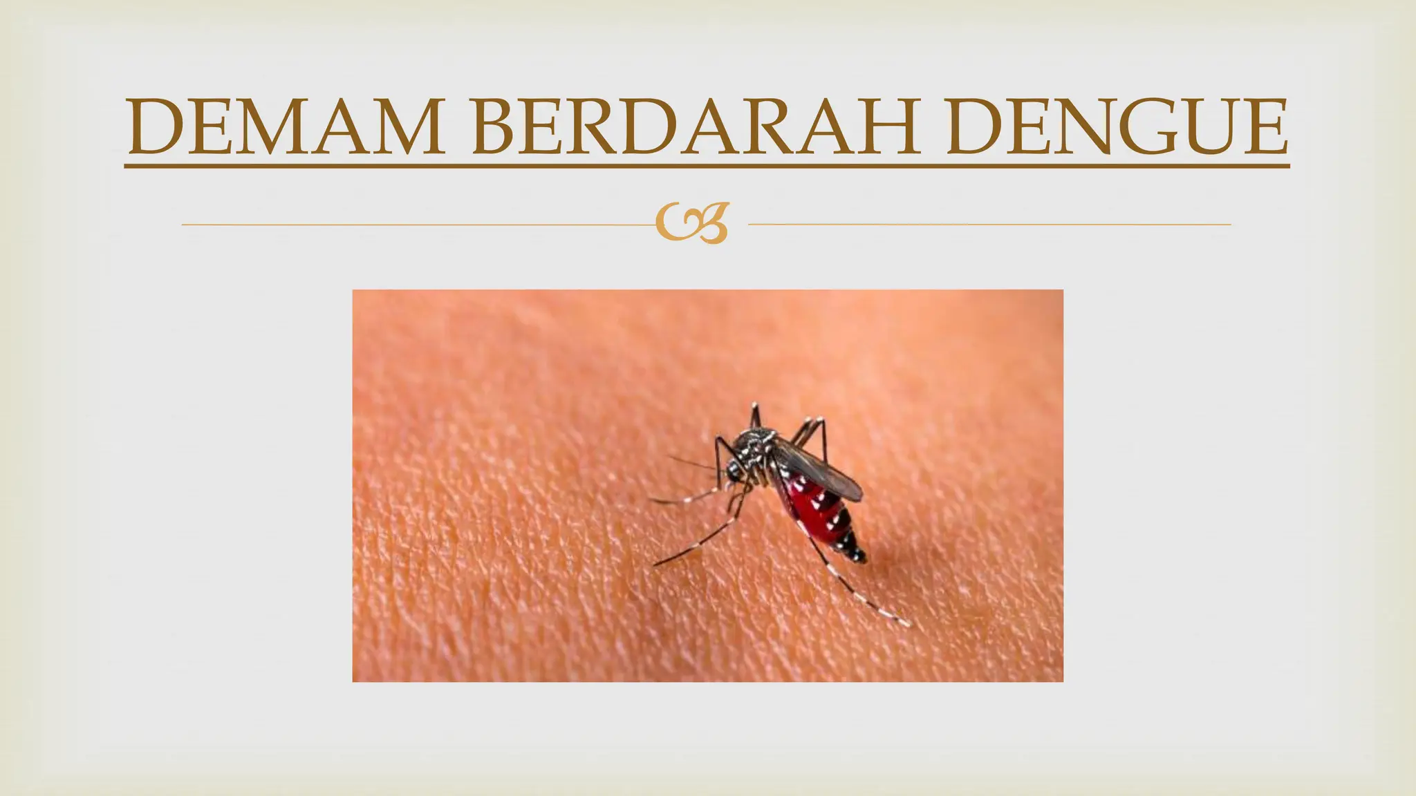 Demam berdarah dengue pada jaman sekarang | PPTX