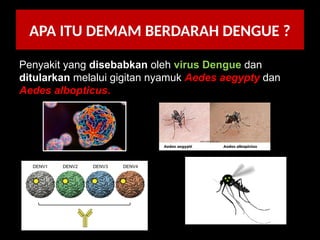 MATERI PENYULUHAN DEMAM BERDARAH DENGUE ANGGREYANI | PPT