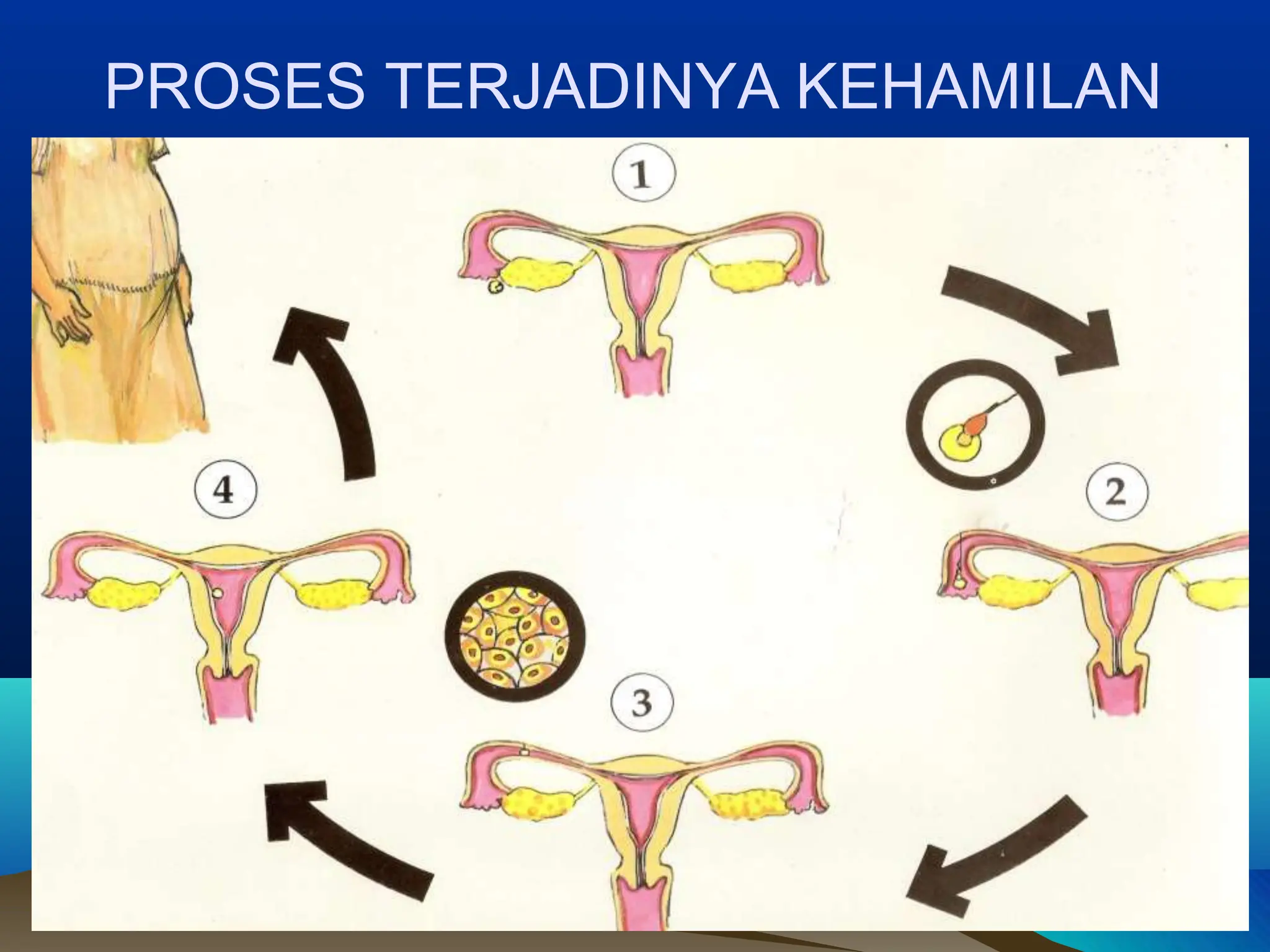 materi penyuluhan kesehatan reproduksi remaja.pptx
