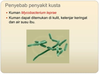 materi penyuluhan kusta.pptx
