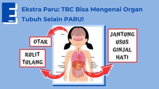 Materi Penyuluhan TBC NASIONAL.pptx