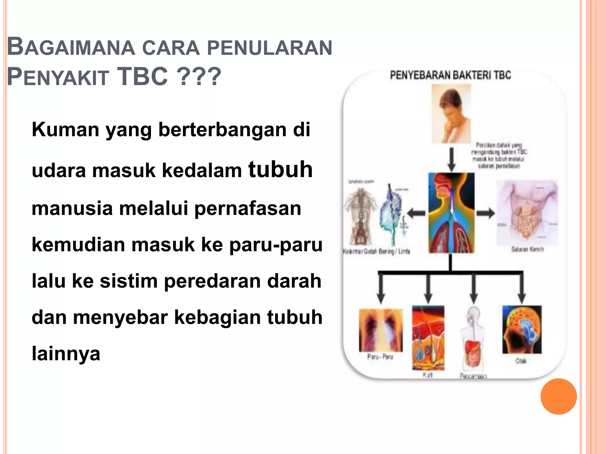 Materi penyuluhan TB.pptx