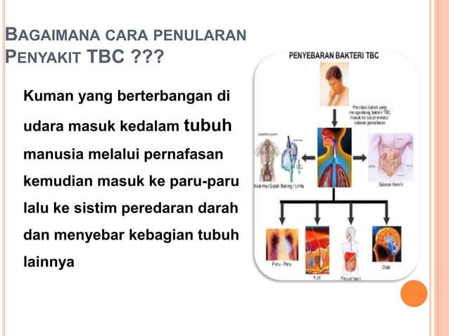 Materi penyuluhan TB.pptx