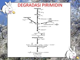 Materi perkuliahan biokimia | PPTX