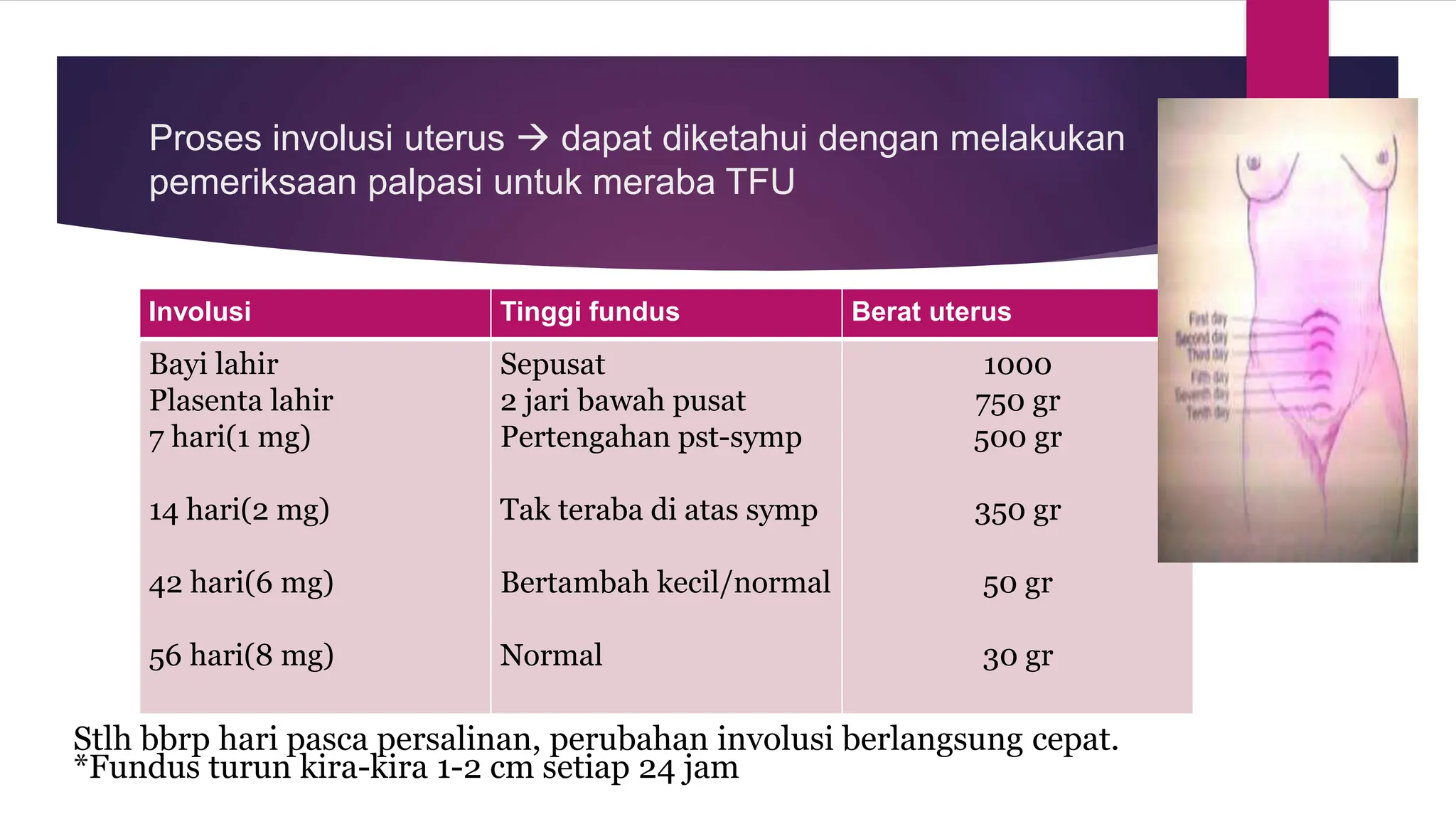 MATERI PERUBAHAN MASA NIFAS pada kebidanan .pptx