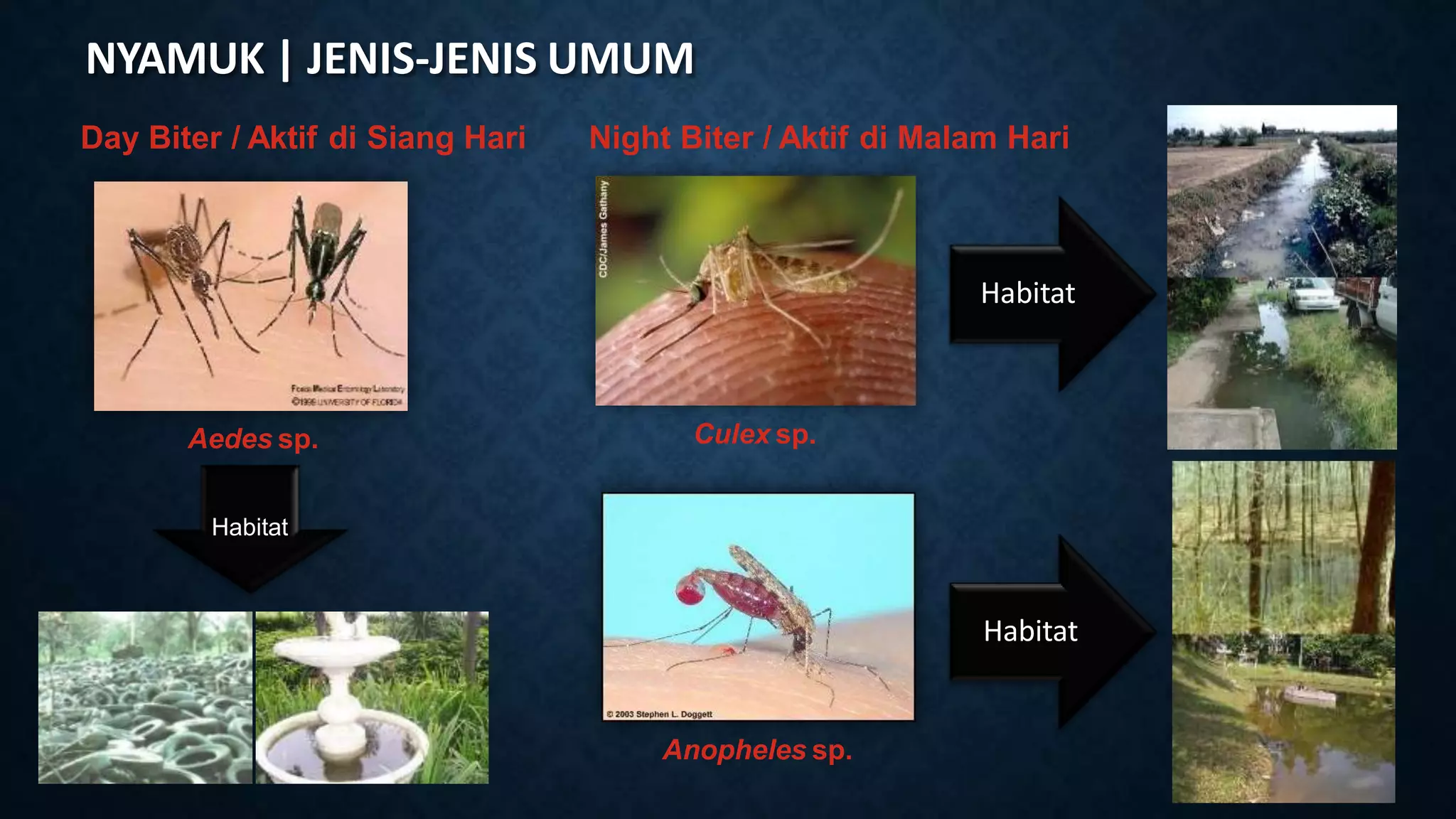 Materi Pest Control.pptx