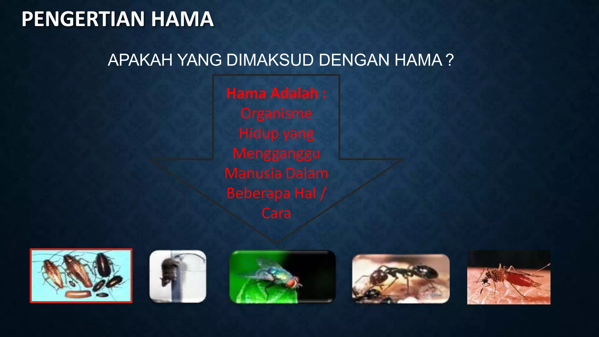 Materi Pest Control.pptx