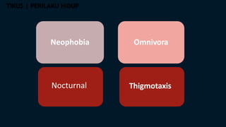 Materi Pest Control.pptx