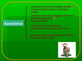 PENYAKIT REPRODUKSI TERNAK | PPT