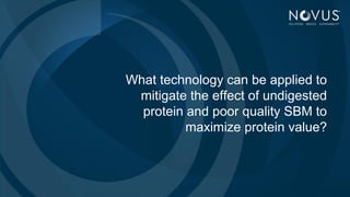 Maximixing Protein Value: Impact of Enzyme on Poultry Cultivation | PDF