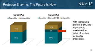 Maximixing Protein Value: Impact of Enzyme on Poultry Cultivation | PDF