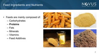Maximixing Protein Value: Impact of Enzyme on Poultry Cultivation | PDF