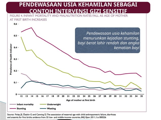 Materi PIK R dalam Pencegahan Stunting.pptx