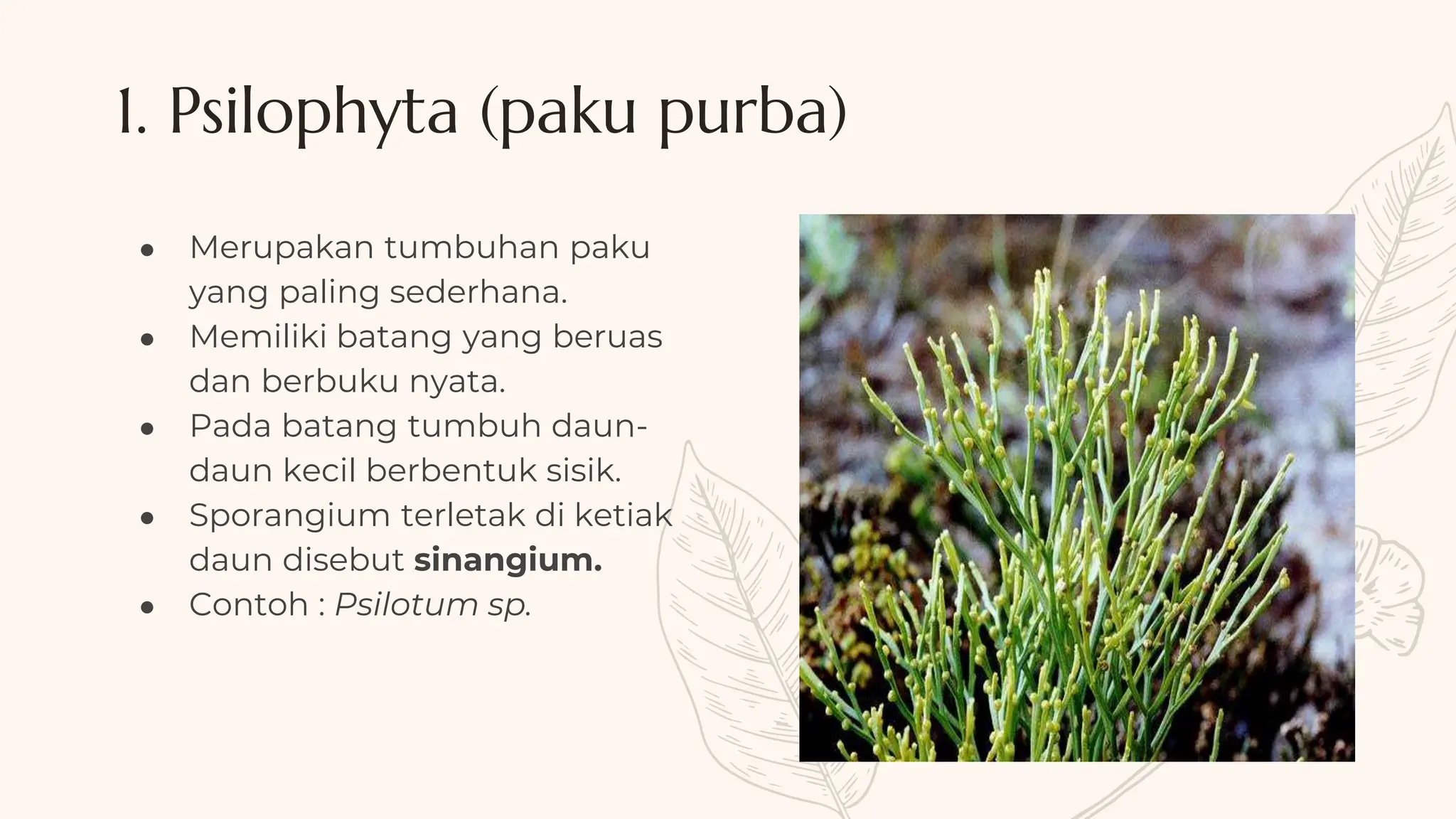Materi Plantae kelas 10 rika elvana.pptx