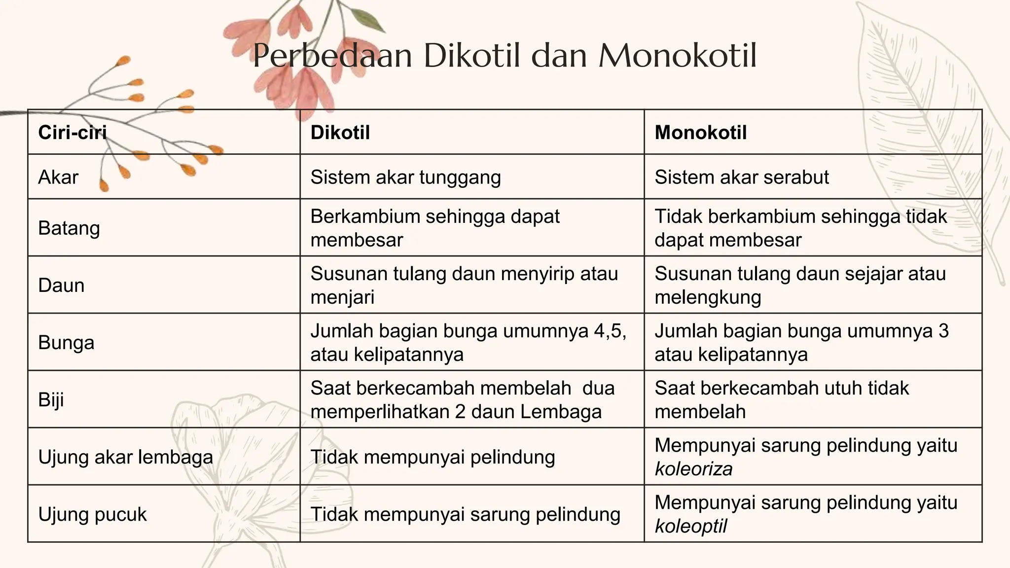 Materi Plantae kelas 10 rika elvana.pptx