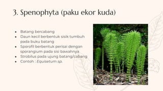 Materi Plantae kelas 10 rika elvana.pptx