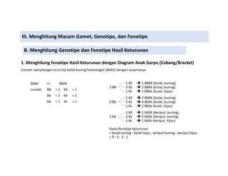 Materi Pola Pewarisan Sifat.pdf