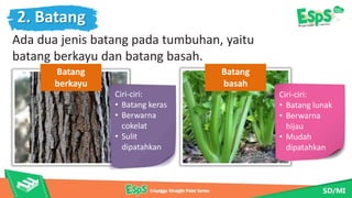 Materi PPT Bab 1. Tumbuhan Sumber Kehidupan.pptx