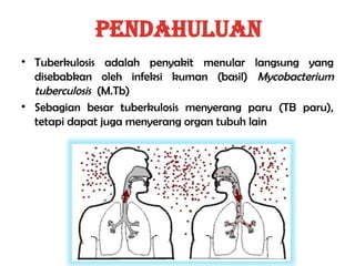 MATERI Presentasi tentang Bakteri Tahan Asam | PPTX