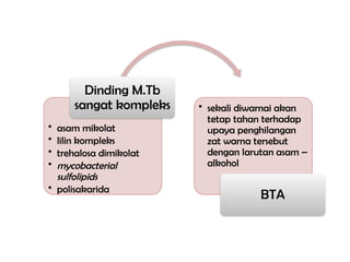 MATERI Presentasi tentang Bakteri Tahan Asam | PPTX