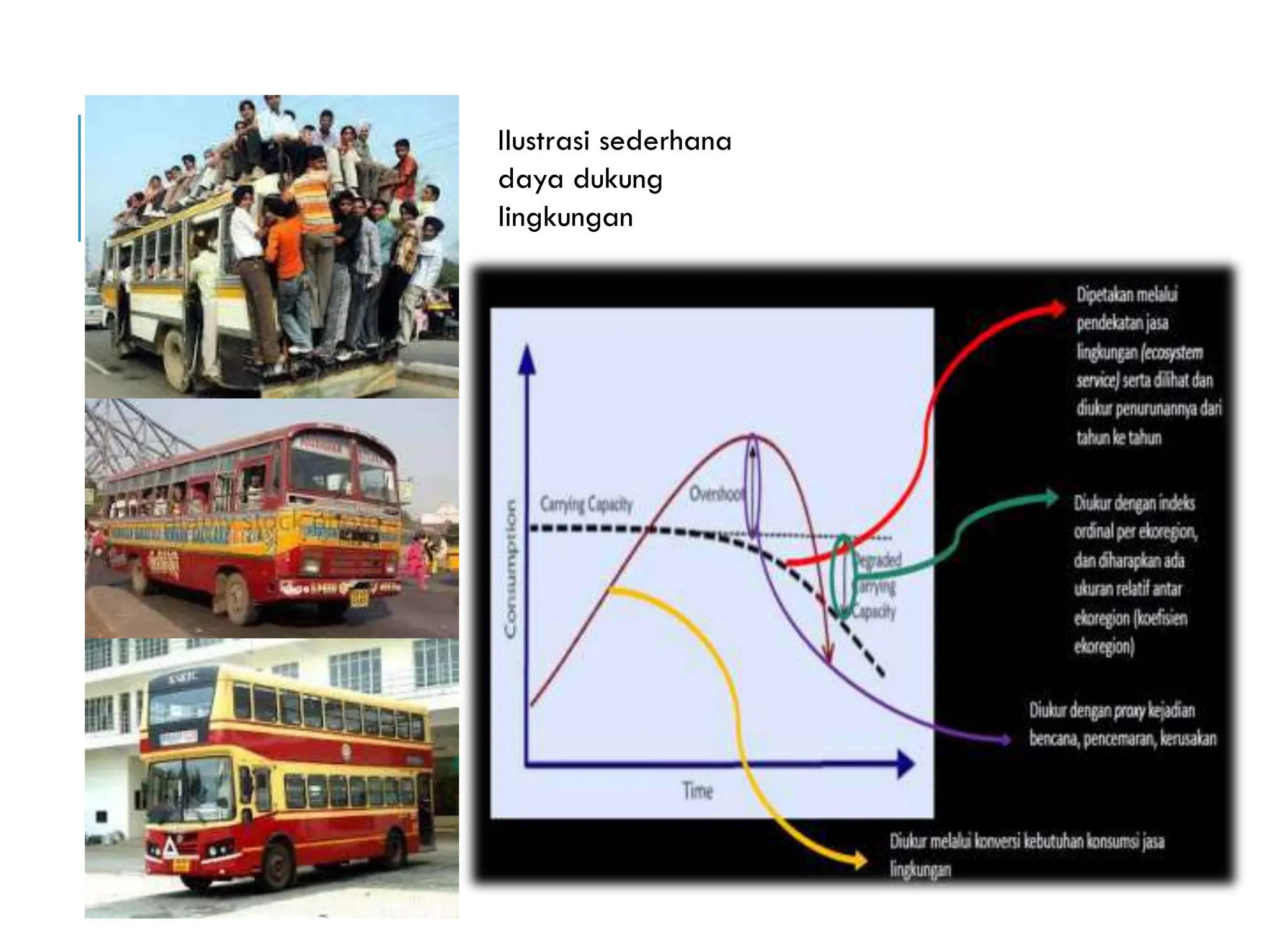 Daya Dukung Daya Tampung Lingkungan Hidup Kabupaten Bangka Tengah Tahun ...