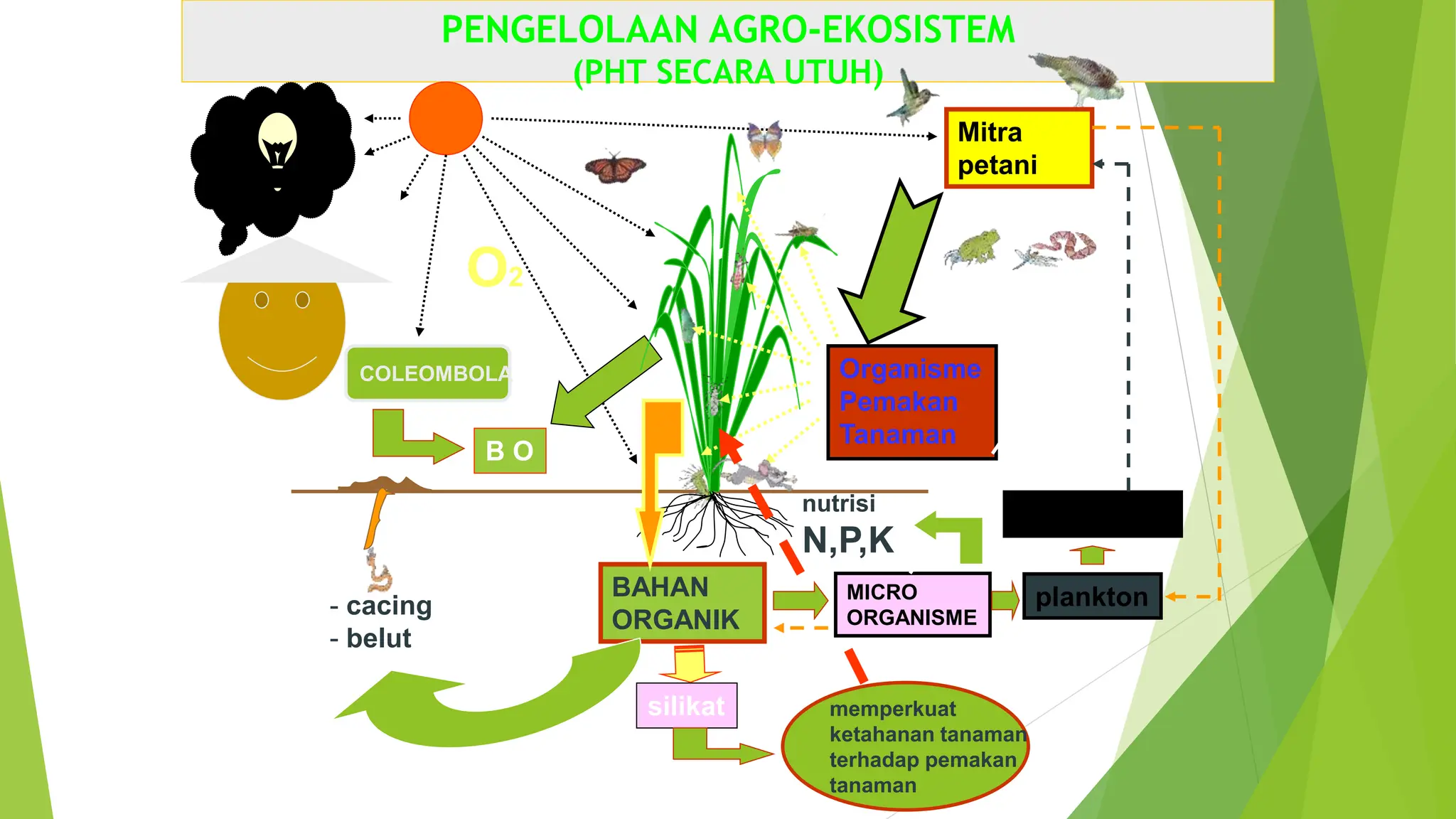 Pengendalian opt pada tanaman padi melalui pendekatan PHT | PPTX