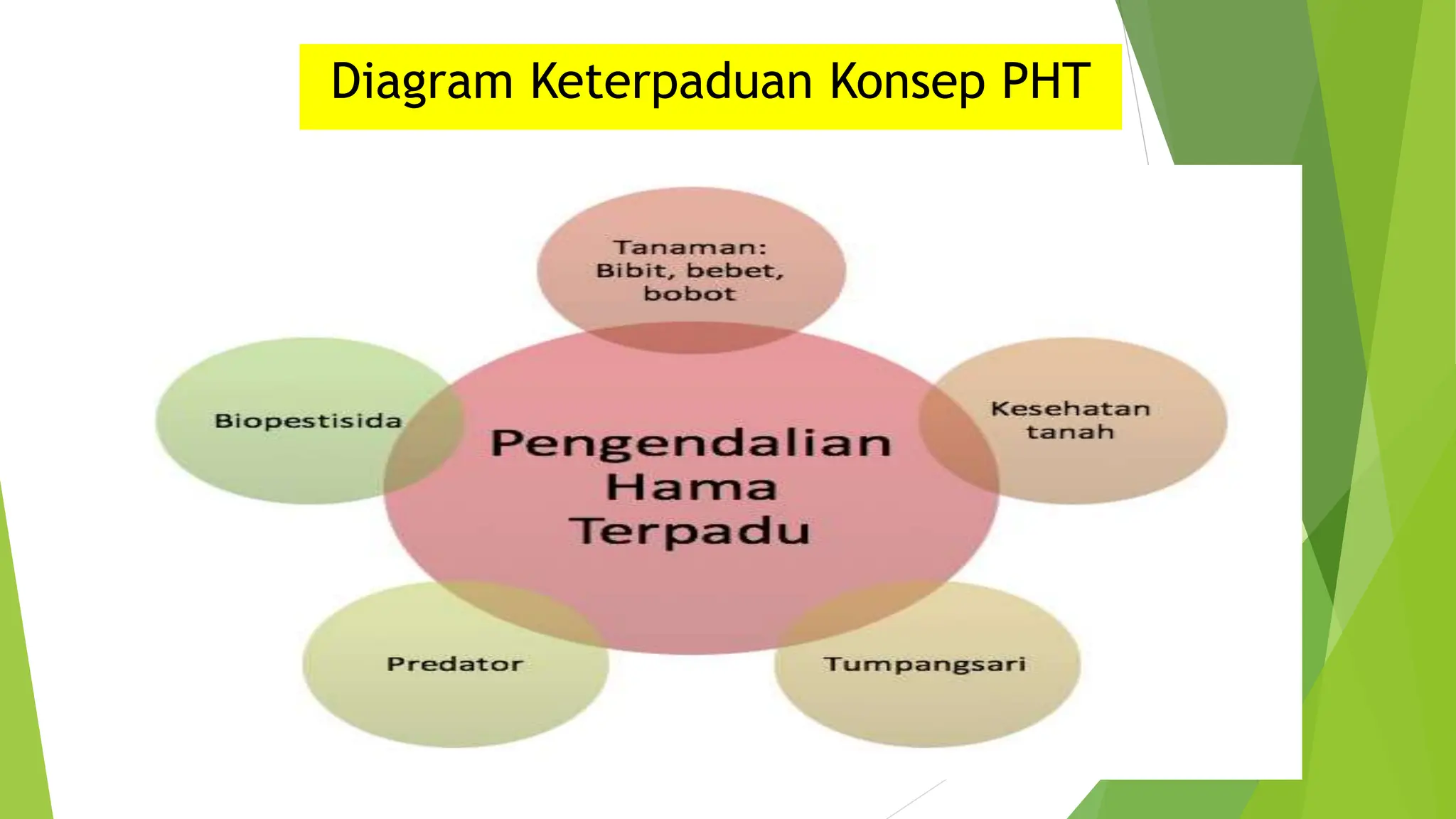 Pengendalian opt pada tanaman padi melalui pendekatan PHT | PPTX