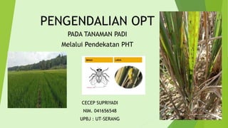 Pengendalian opt pada tanaman padi melalui pendekatan PHT | PPTX