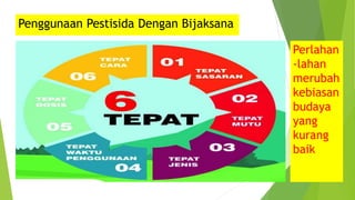 Pengendalian opt pada tanaman padi melalui pendekatan PHT | PPTX