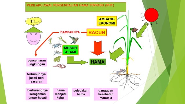 Pengendalian opt pada tanaman padi melalui pendekatan PHT | PPTX