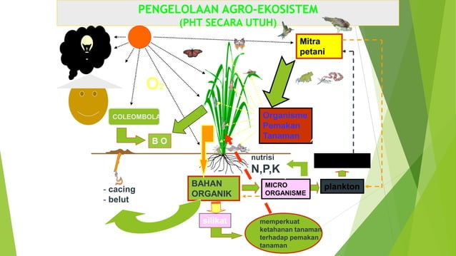 Pengendalian opt pada tanaman padi melalui pendekatan PHT | PPTX